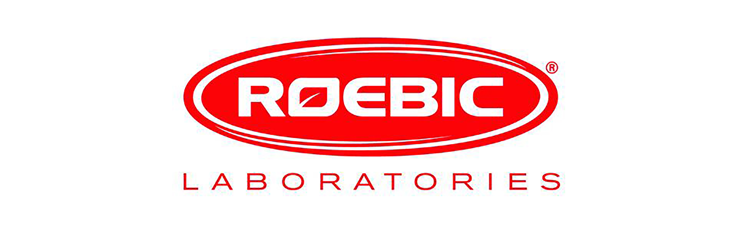 Amazon.com: Roebic