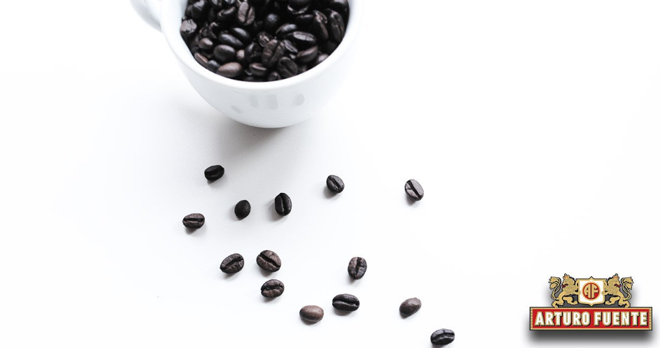 Amazon.com: A Fuente