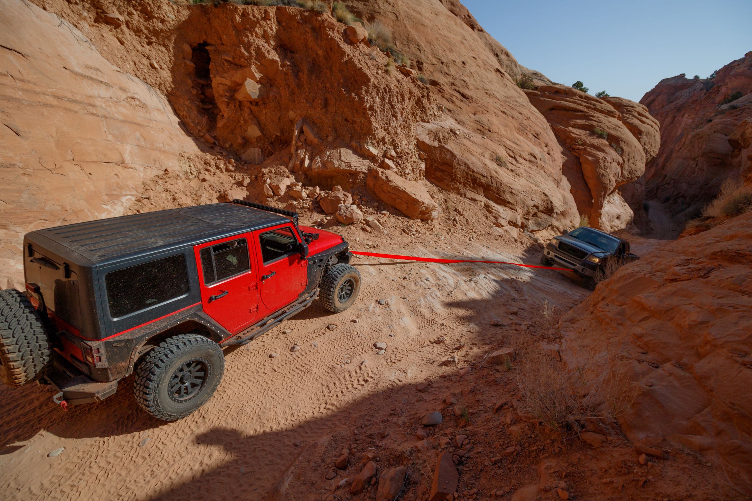 Amazon.com: Rocket Straps