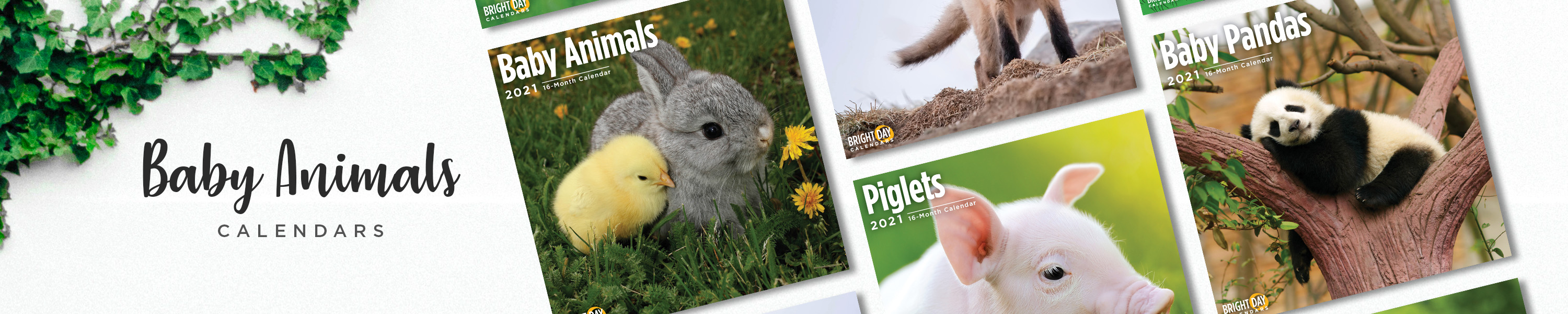 Amazon.com: Bright Day Calendars: Baby Animals