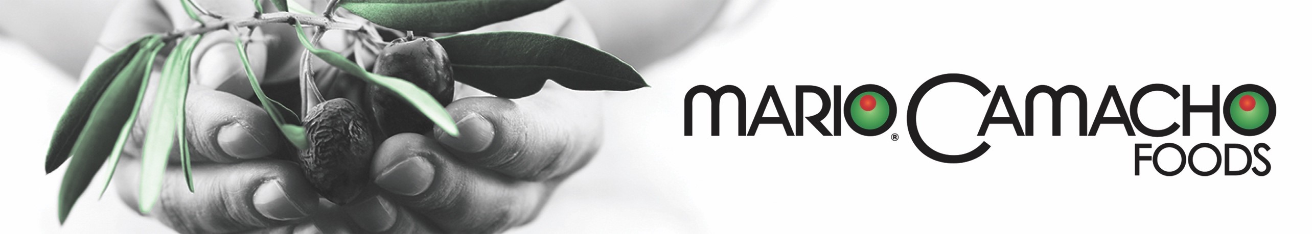 Amazon.com: Mario Camacho Foods