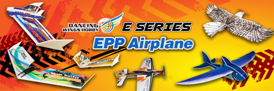 Amazon.com: Dancing Wings Hobby: RC Foam Airplanes