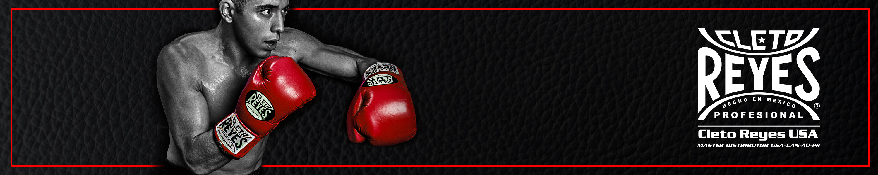 Amazon.com: CLETO REYES