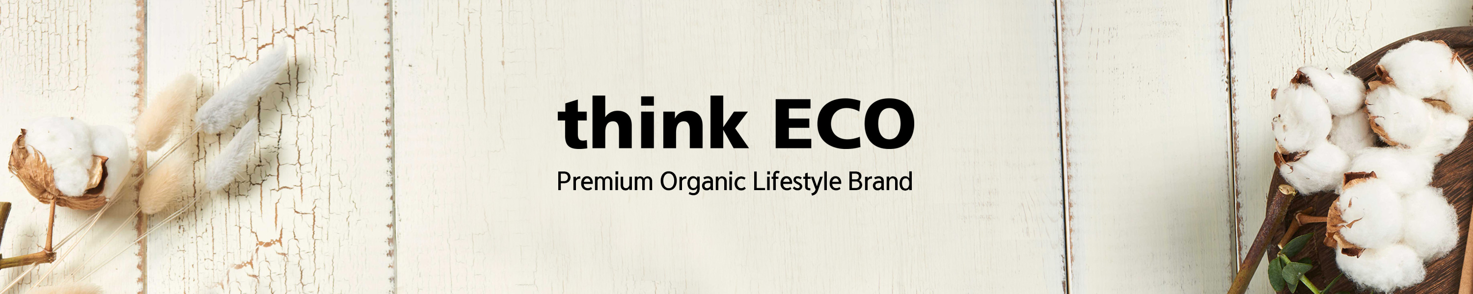 Amazon.com: think ECO