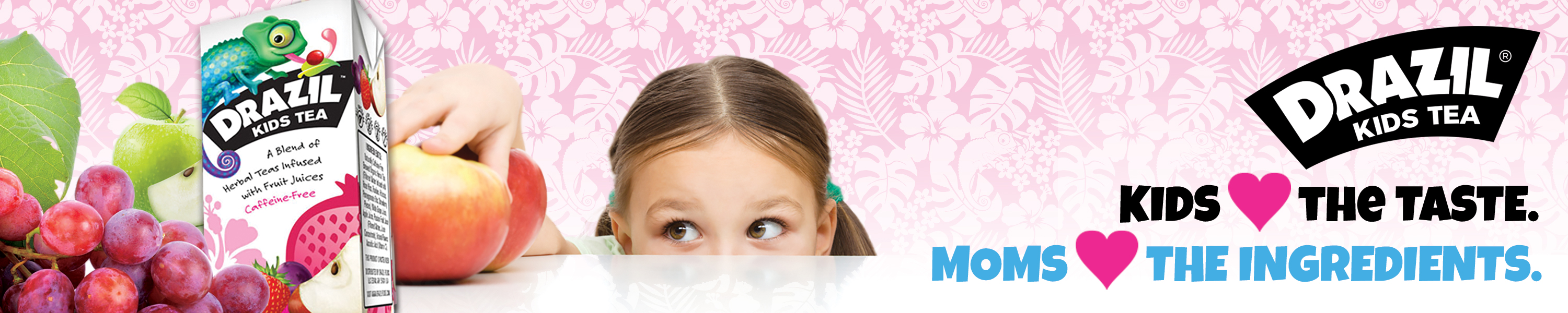 Amazon.com: Drazil Foods, LLC