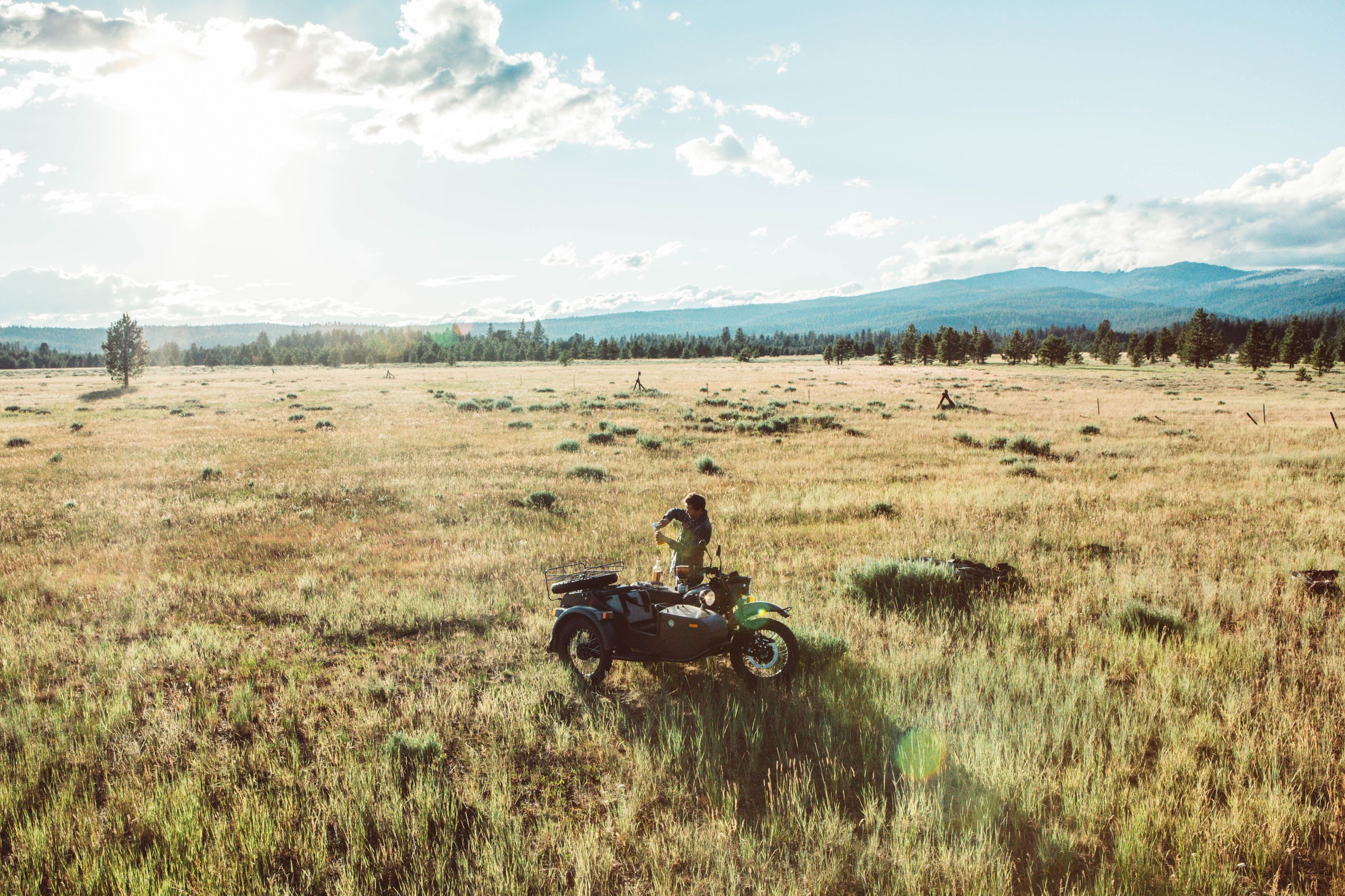 Amazon.com: Treehouse Originals: Our Story