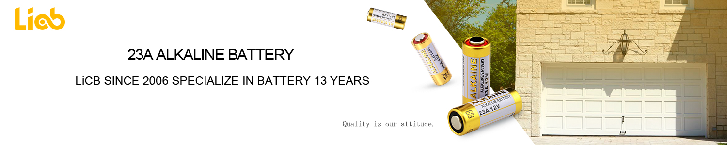 Amazon.com: LiCB: 12V ALKALINE BATTERY