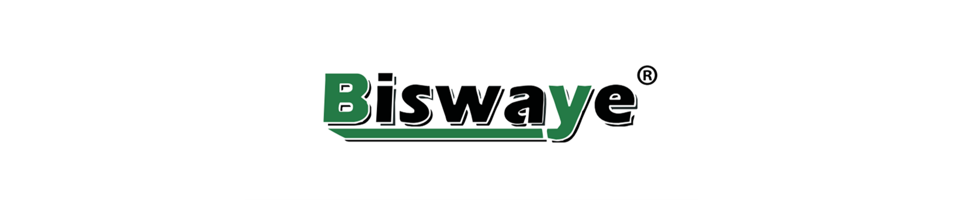 Amazon.com: Biswaye