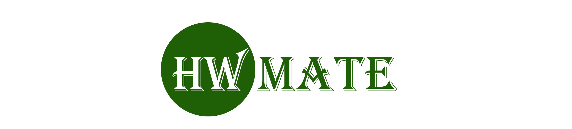 Amazon.com: HWMATE: Locks & Latches