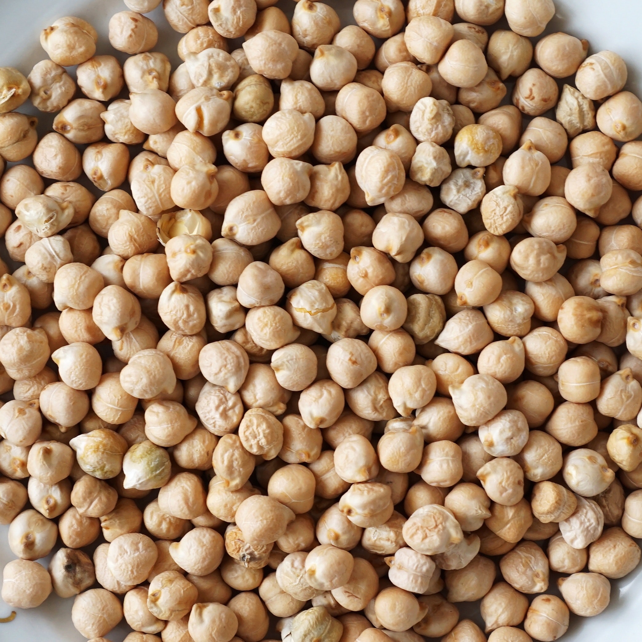 Amazon.com: The Amazing Chickpea: Chickpea Powder