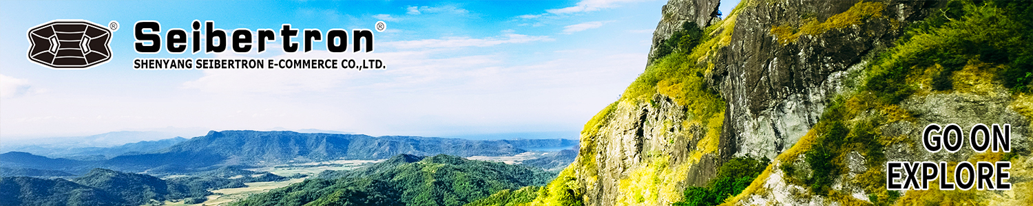 Amazon.com: Seibertron: Bags & Packs