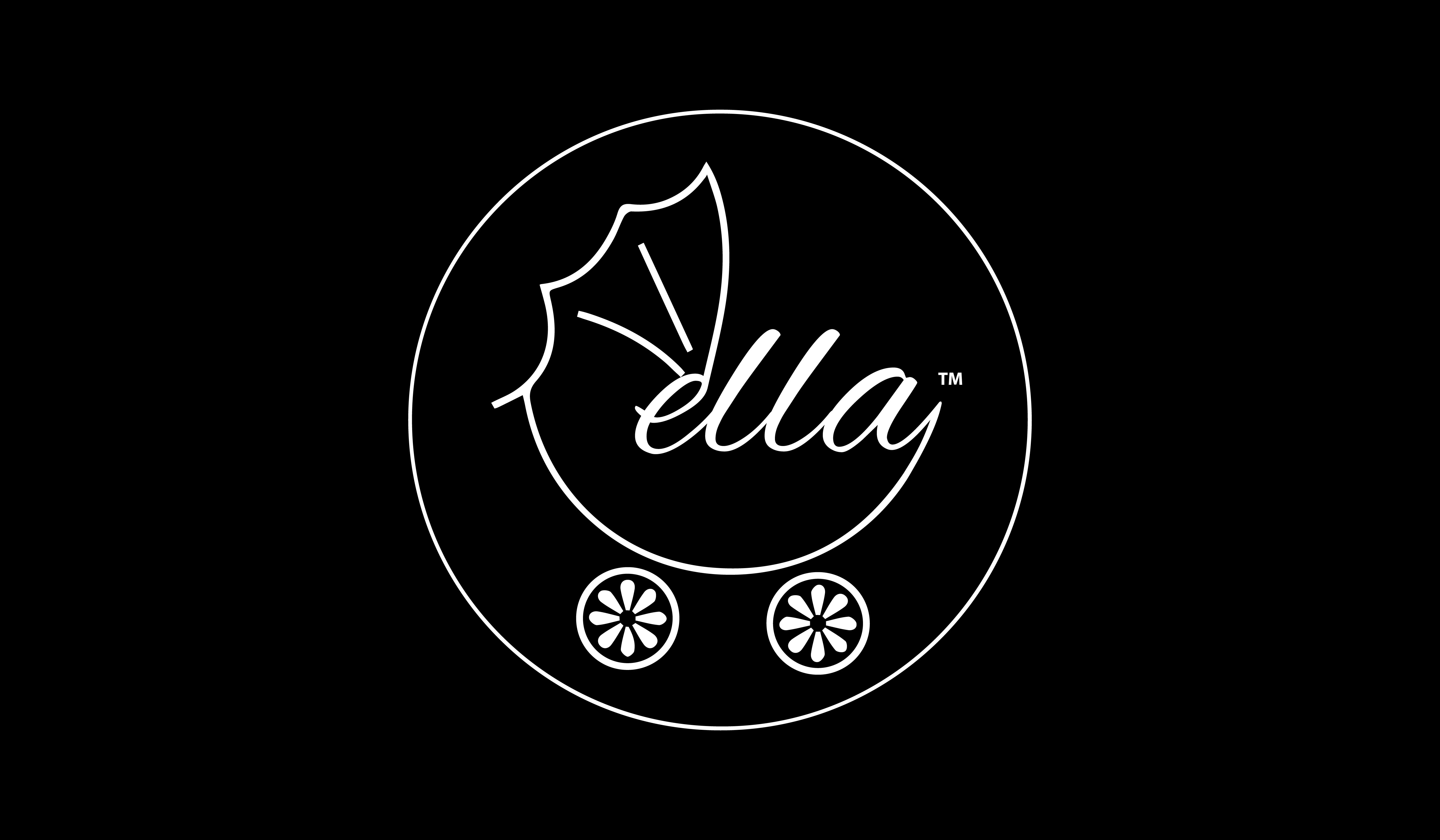 Amazon.com: Ella Baby Strollers: Journey Convertible Stroller