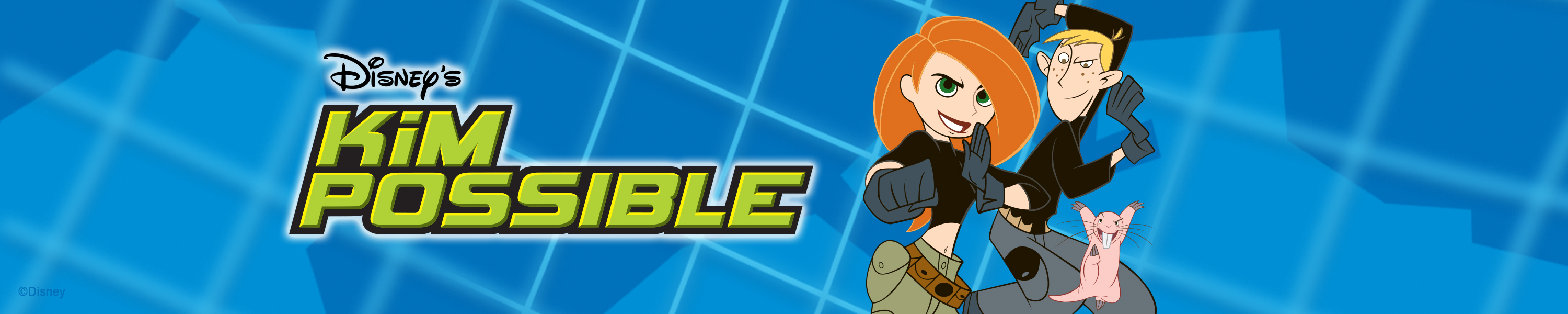 Amazon.com: Disney Channel Fan Shop: Kim Possible