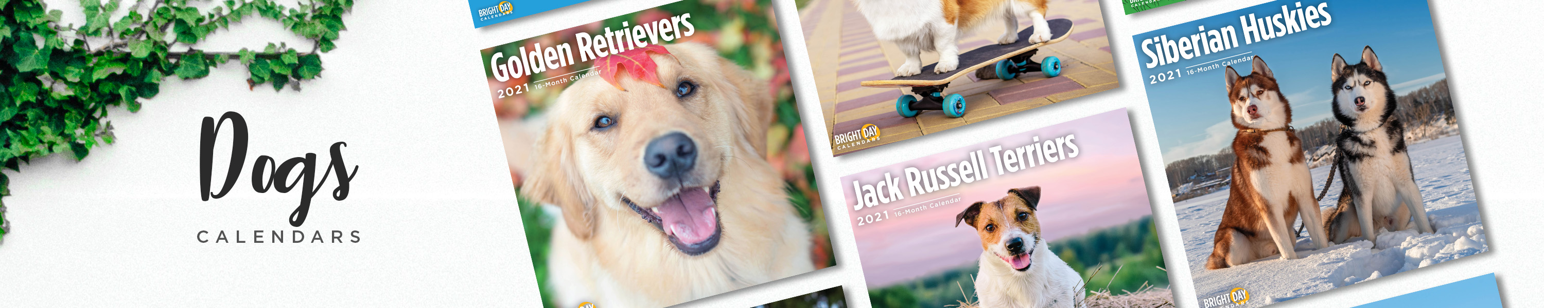 Amazon.com: Bright Day Calendars: Dogs