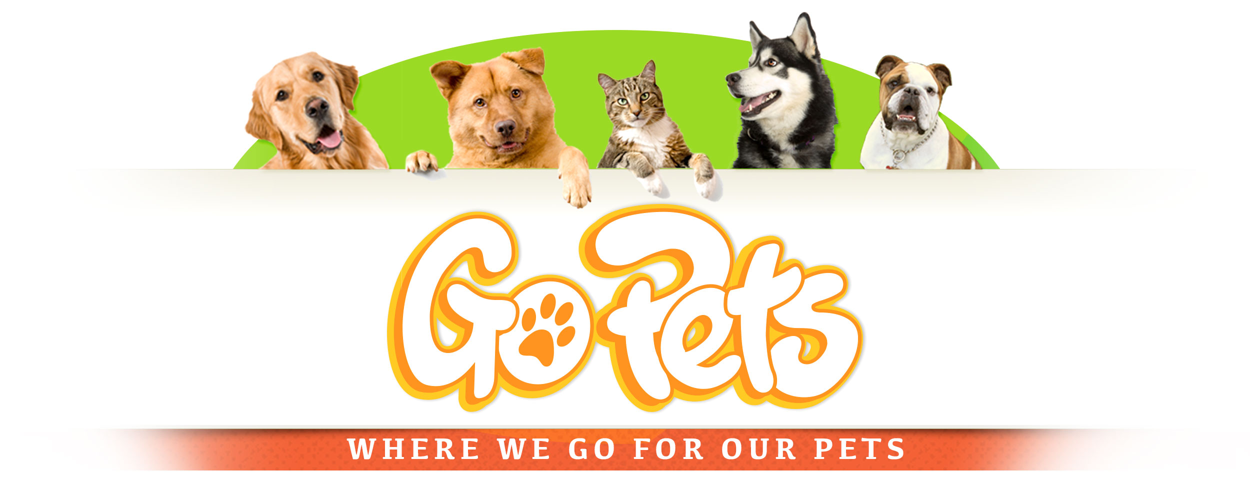 Amazon.com: GoPets
