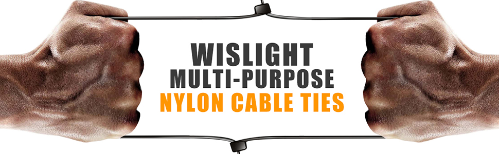 Amazon.com: WISLIGHT