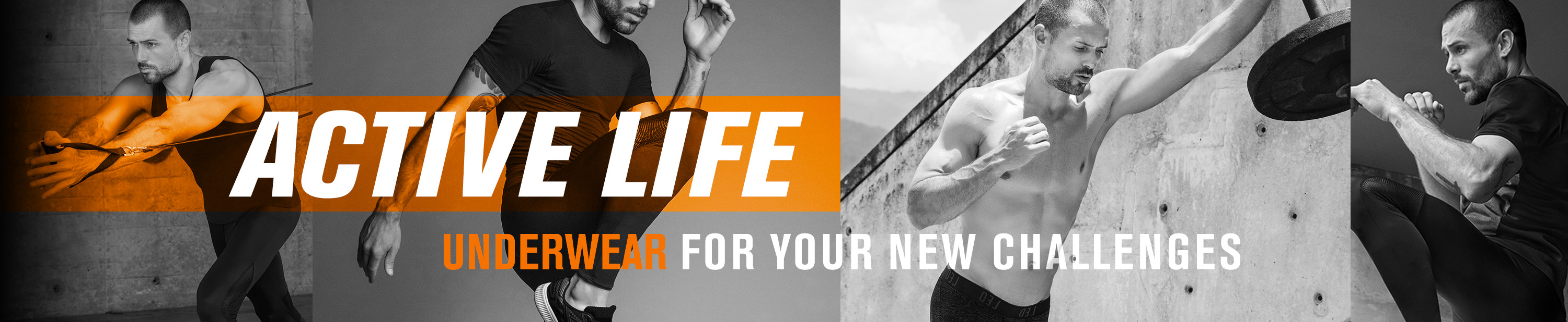 Amazon.com: LEO: FIT - SPORTS