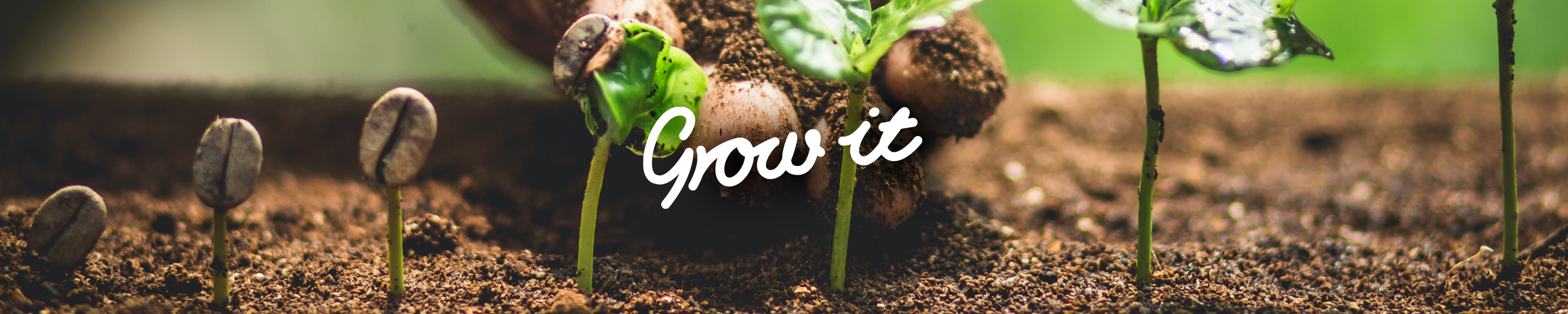 Amazon.co.uk: Westland Horticulture: Grow It