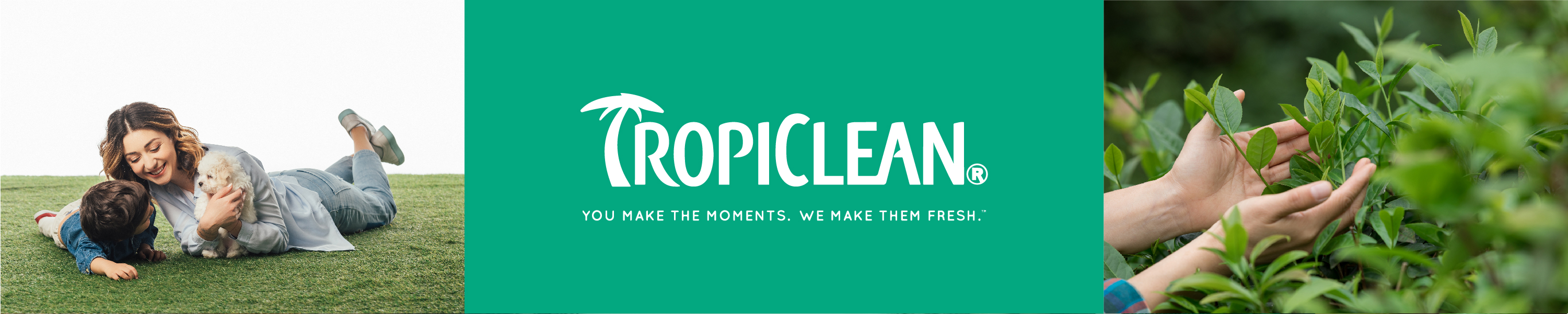 Amazon.co.uk: Tropiclean: Kits