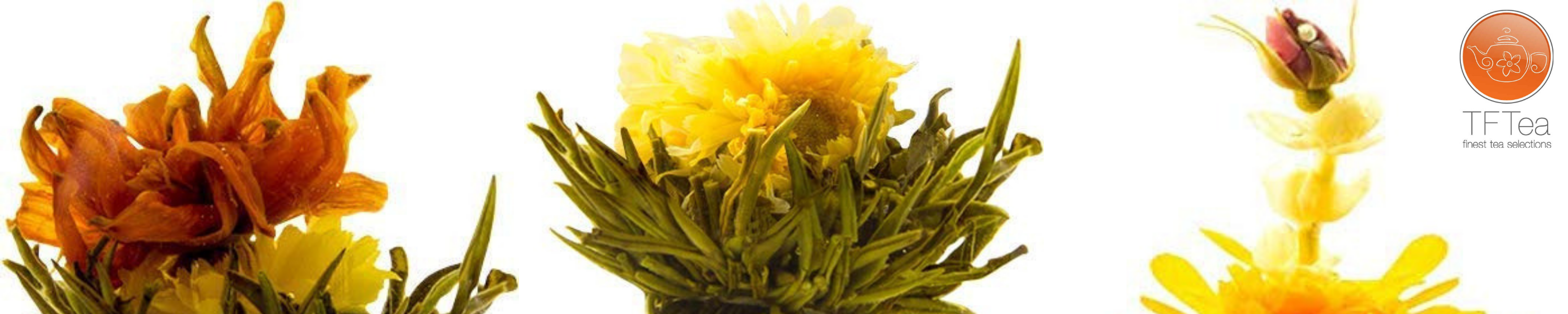 Amazon.co.uk: TFTea finest tea selections: Products