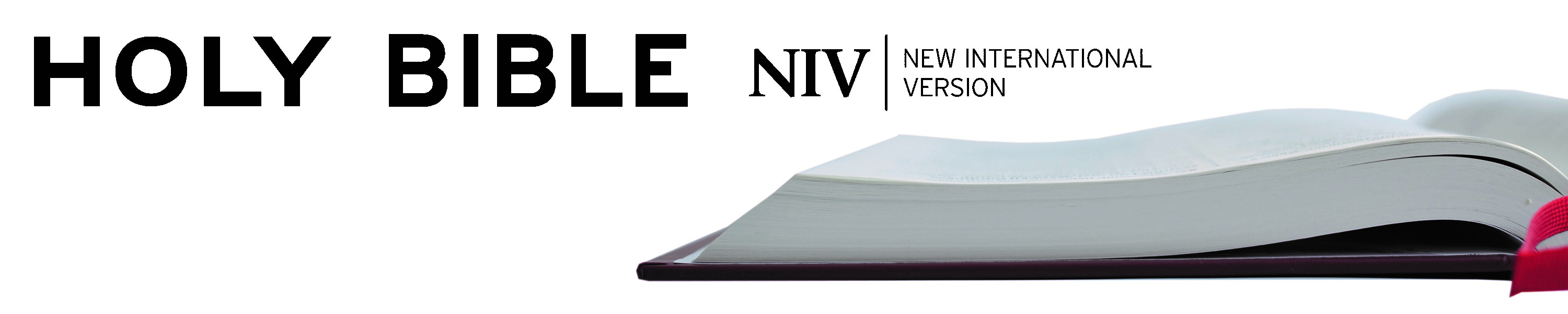 Amazon.co.uk: NIV Holy Bible: Children