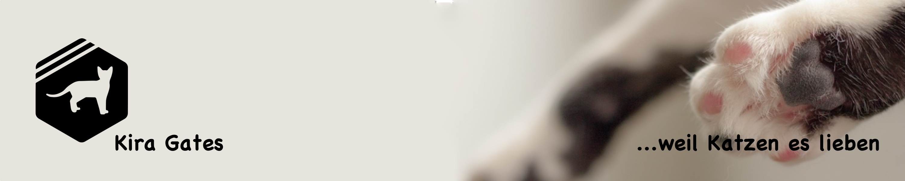 Amazon.de: Kira Gates : Andenken