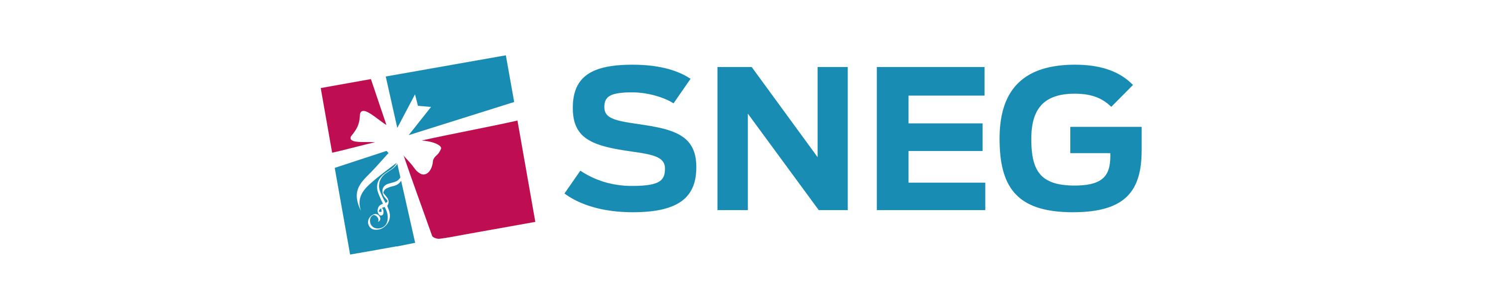 Amazon.de: SNEG