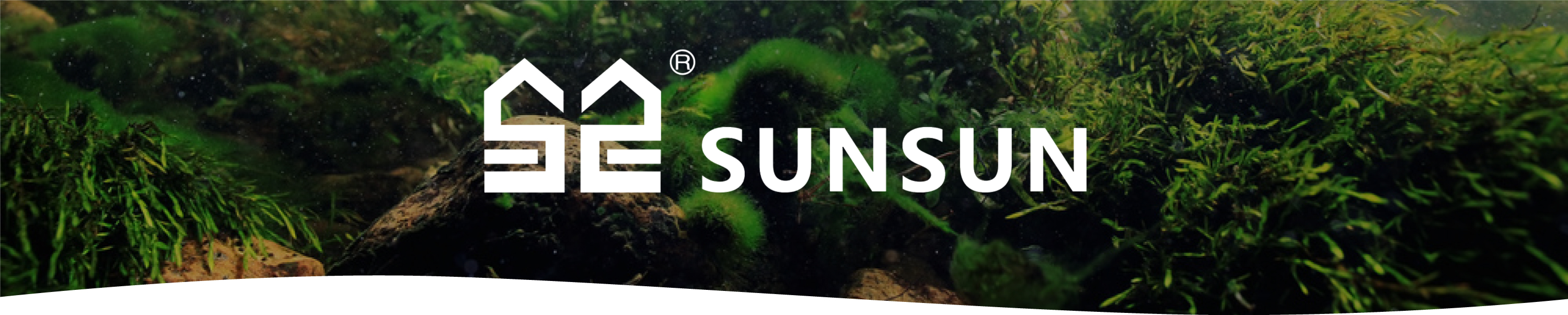 Amazon.co.uk: SunSun: CBF 200