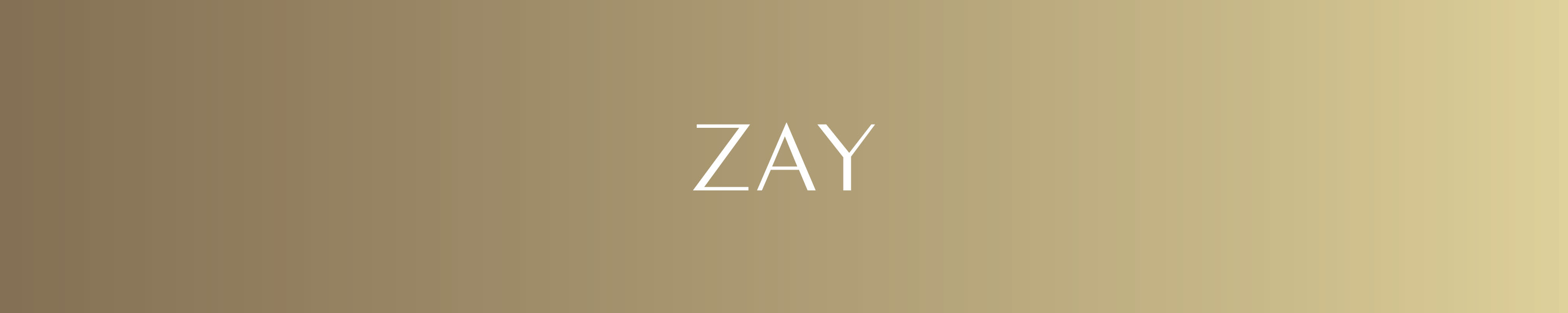 Amazon.de: Zay: Neuheiten