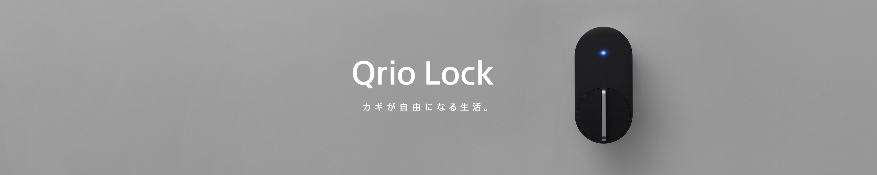 Amazon.co.jp: Qrio