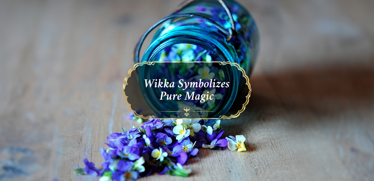 Amazon.in: Wikka: Essential Oils