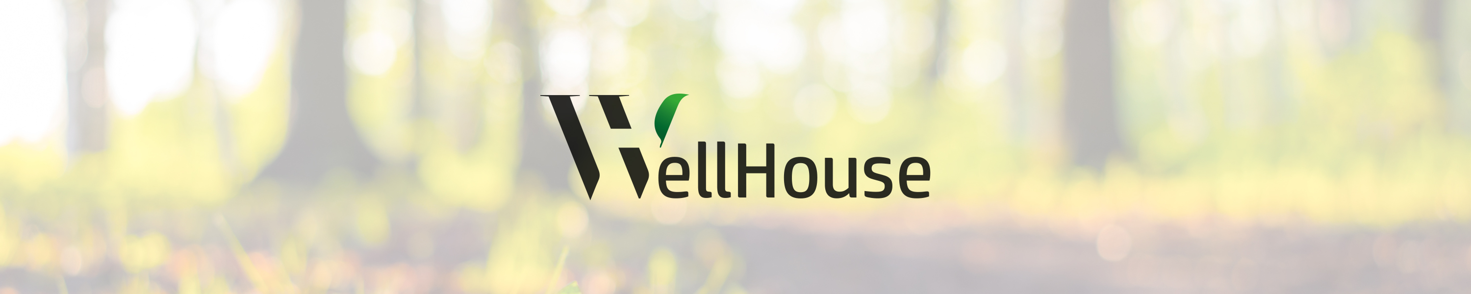Amazon.in: Wellhouse