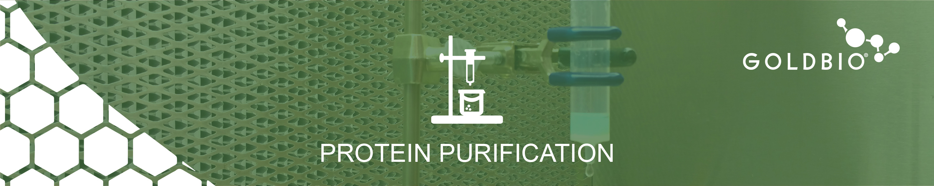Amazon.com: GoldBio: Inducers and Reducing Agents