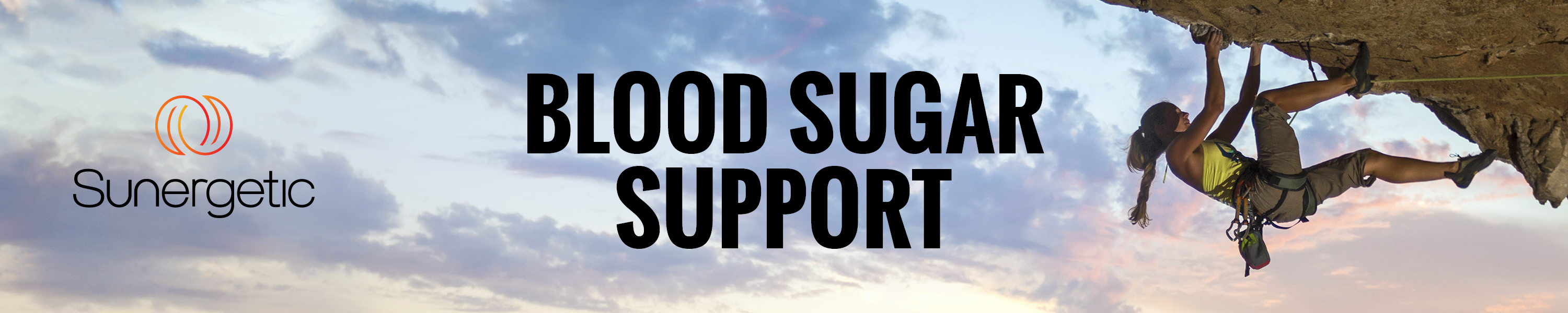 Amazon.com: Sunergetic: BLOOD SUGAR SUPPORT