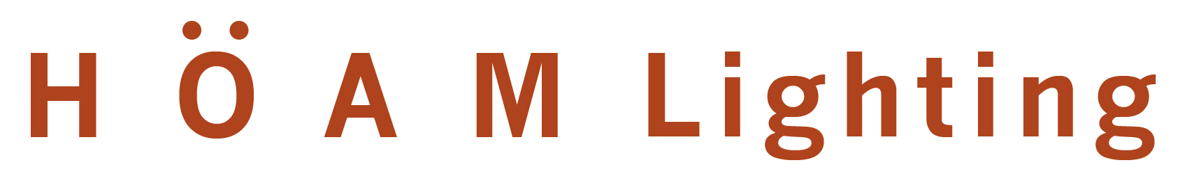 Amazon.com: HOAM Lighting