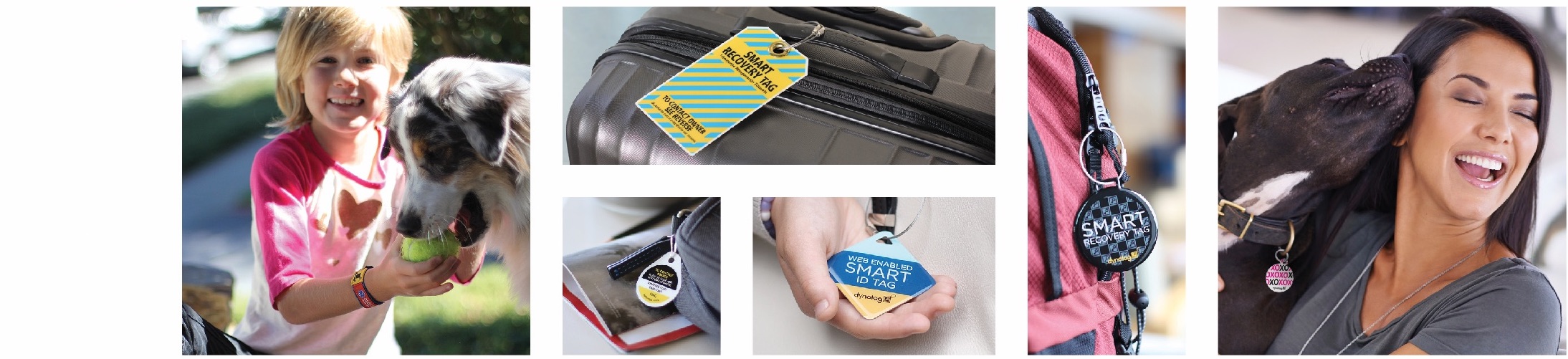 Amazon.com: Dynotag, Inc.: Stickers