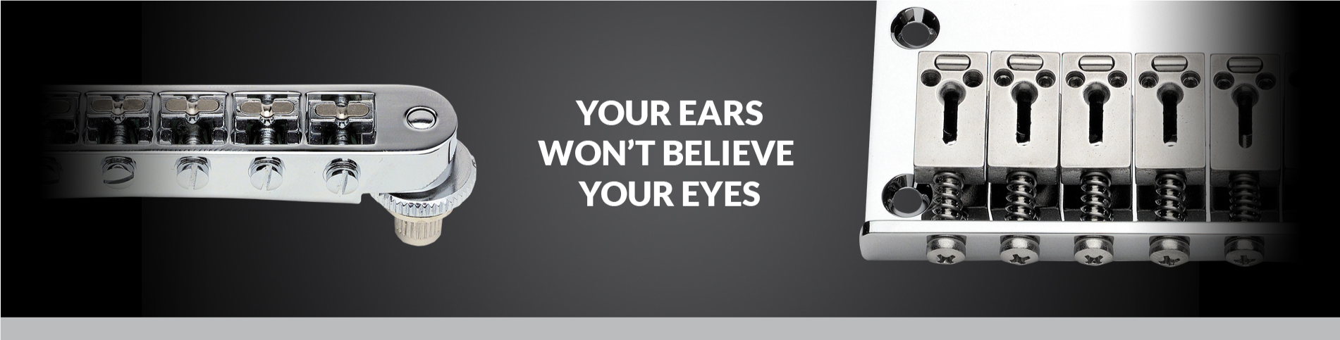 Amazon.com: Fishman: Powerbridge Pickups