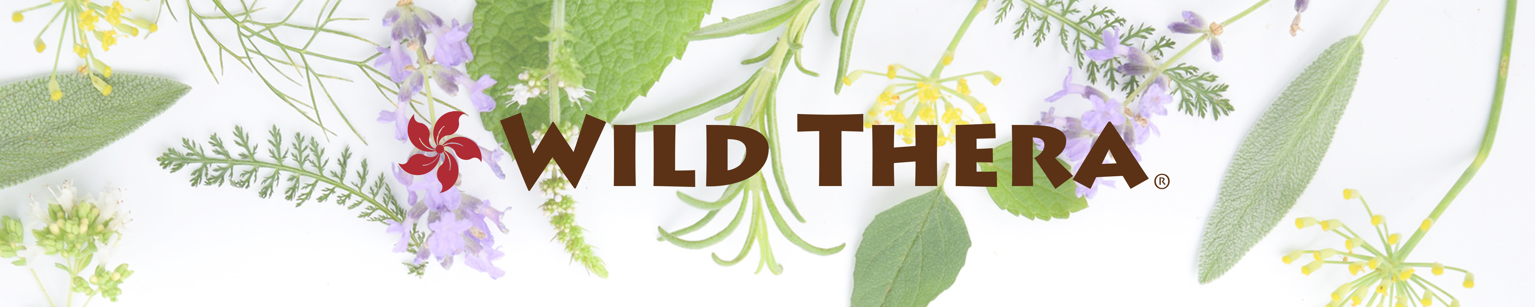 Amazon.com: Wild Thera: Body & Face Care