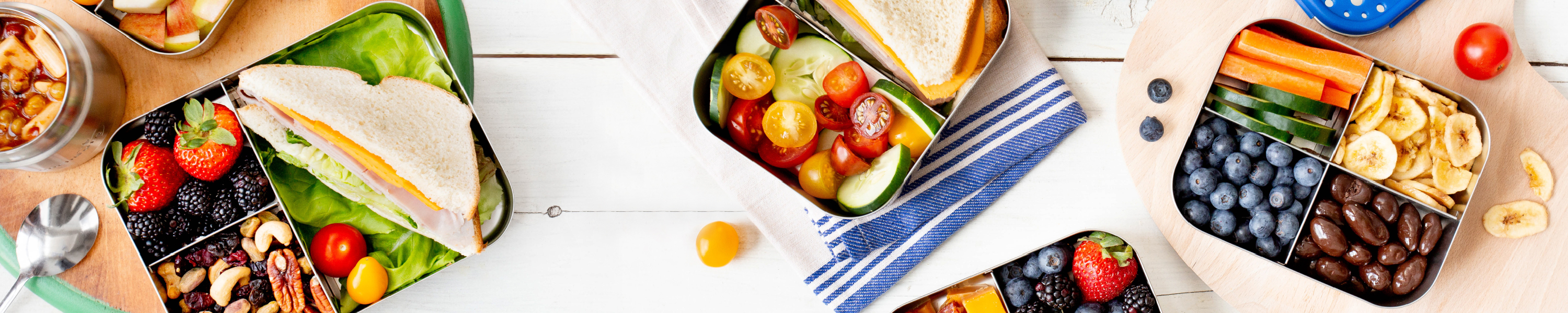 Amazon.com: LunchBots: Medium Bento Boxes