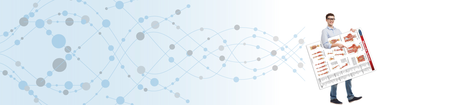 Amazon.com: Permacharts Quick Reference Guides: Posters & Wall Charts