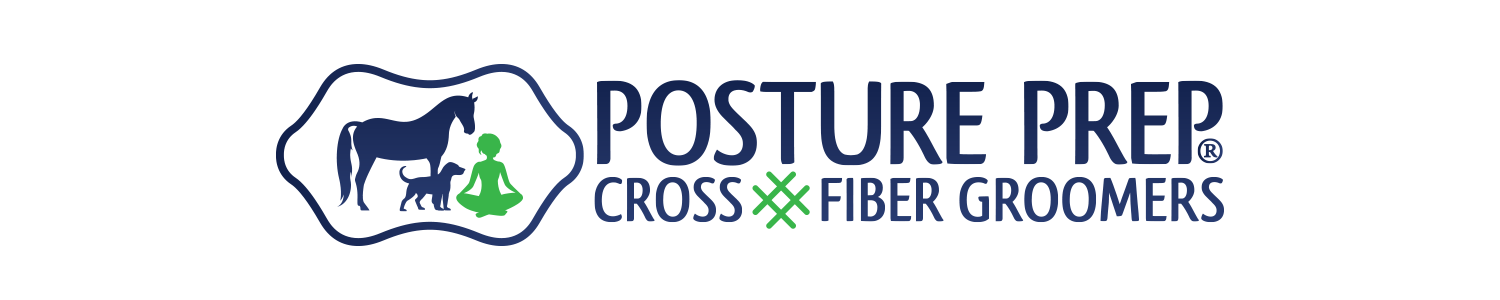 Amazon.com: Posture Prep