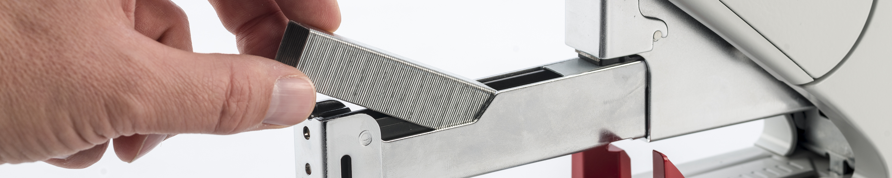 Amazon.com: novus: Premium Staples