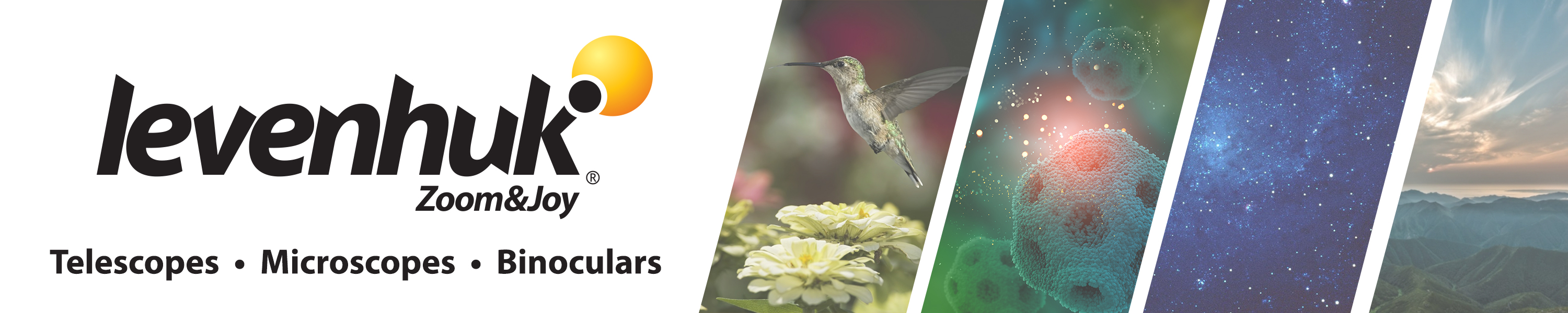 Amazon.com: Levenhuk: Microscopes for Beginners