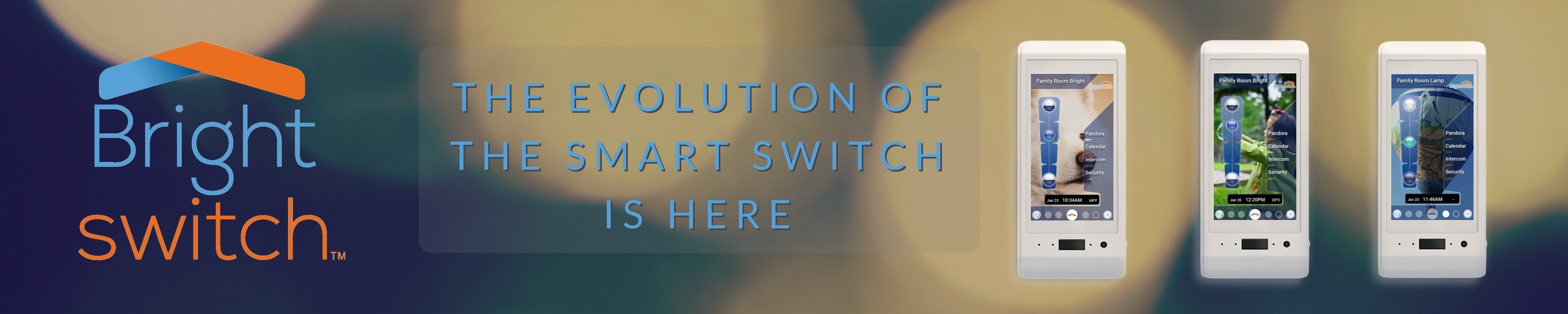 Amazon.com: BRIGHTSWITCH