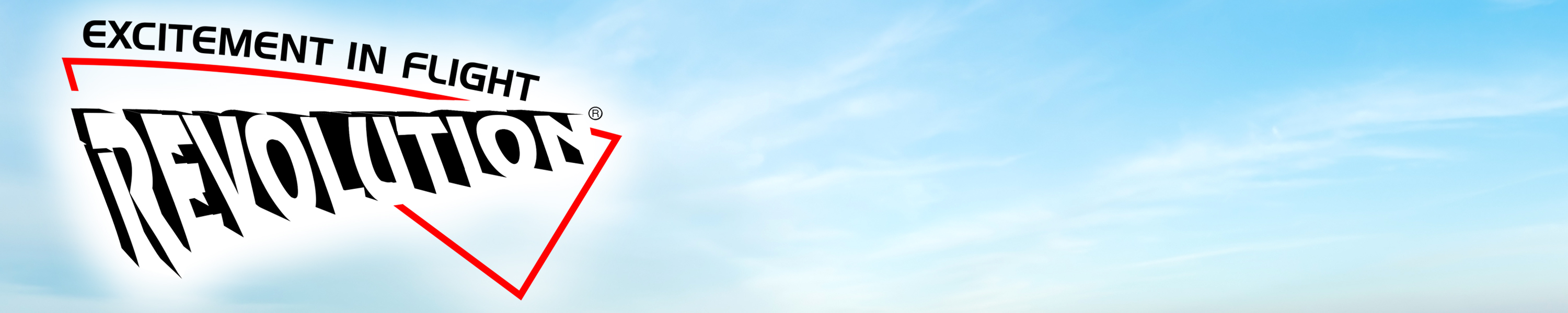 Amazon.com: Revolution: WING GUIDE