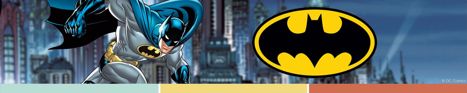 Amazon.com: RoomMates: Batman