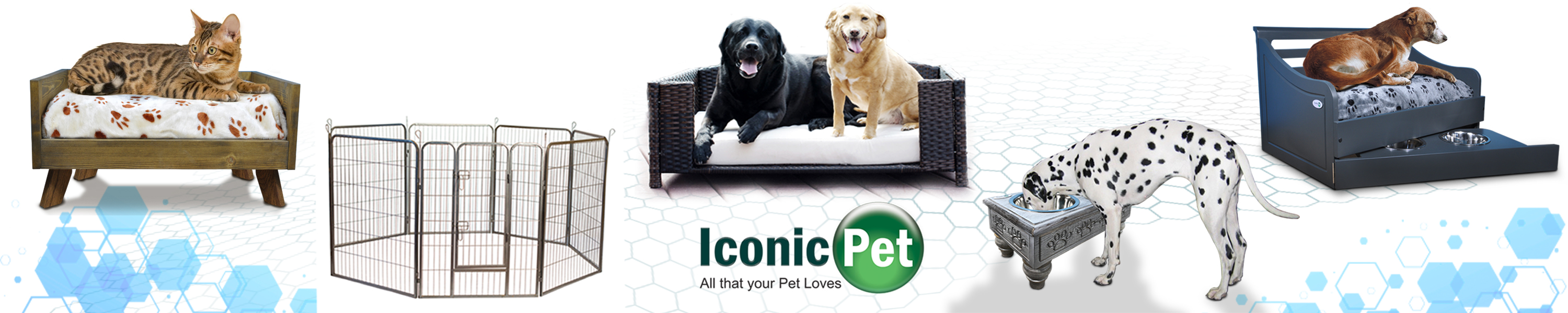 Amazon.com: Iconic Pet