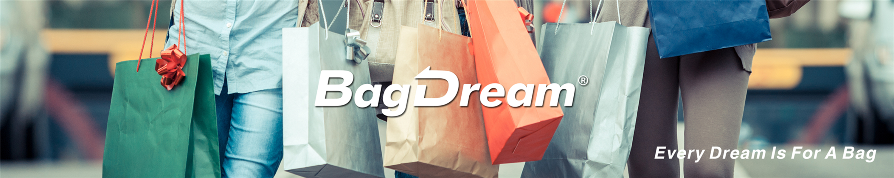 Amazon.com: BagDream