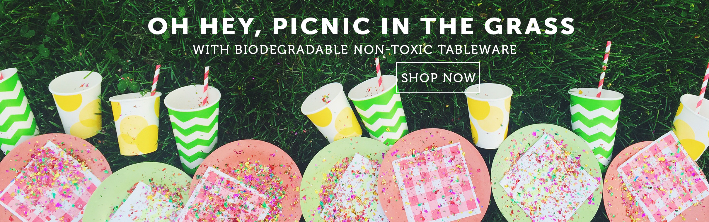 Amazon.com: Susty Party Supplies