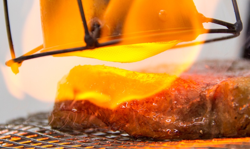 Amazon.com: Searzall